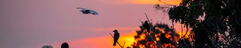 The National Law School Trilegal International Arbitration Moot 2024-25 ...